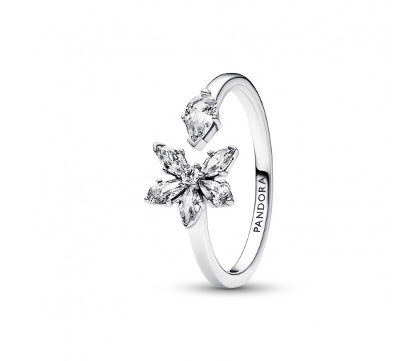 Pandora - Helen Kirchhofer